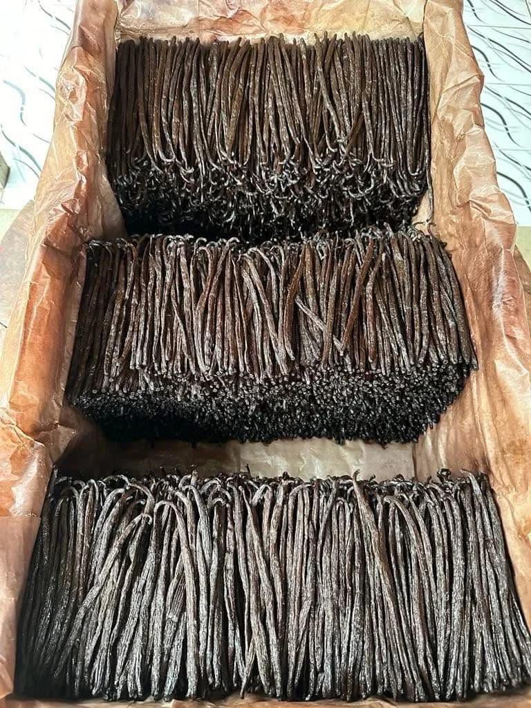 Vanilloka - Premium Vanilla Bean Paste & Extract | Global Vanilla ...